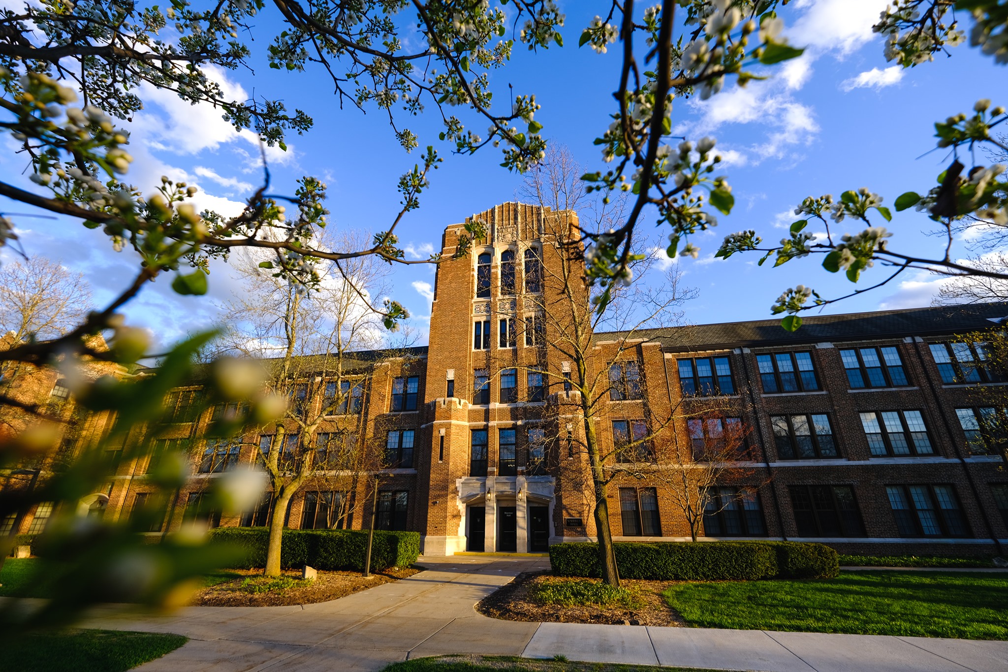 Universities in Michigan: Top 5 Michigan Colleges and Universities | Yocket